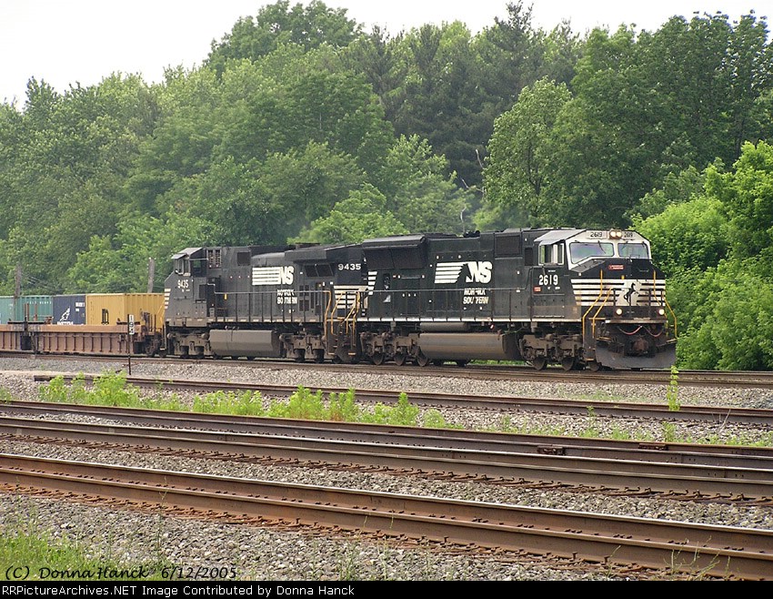 NS 2619